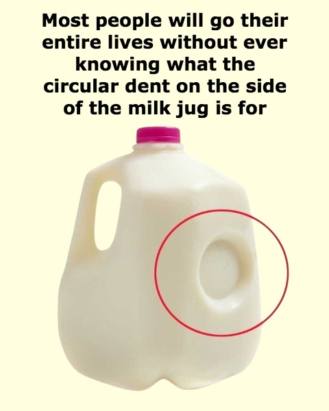 The Real Purpose Behind the Circular Dent on Milk Jug – BeInspireDaily