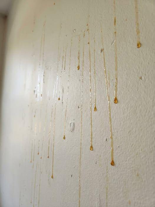 Strange Yellow Streaks on the Walls – BeInspireDaily